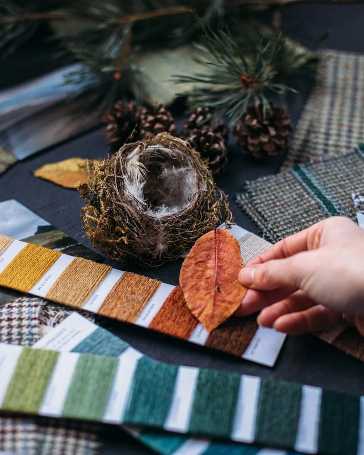 Design Your Own Tartan at The Fife Arms | Luxury 5 Star Hotel