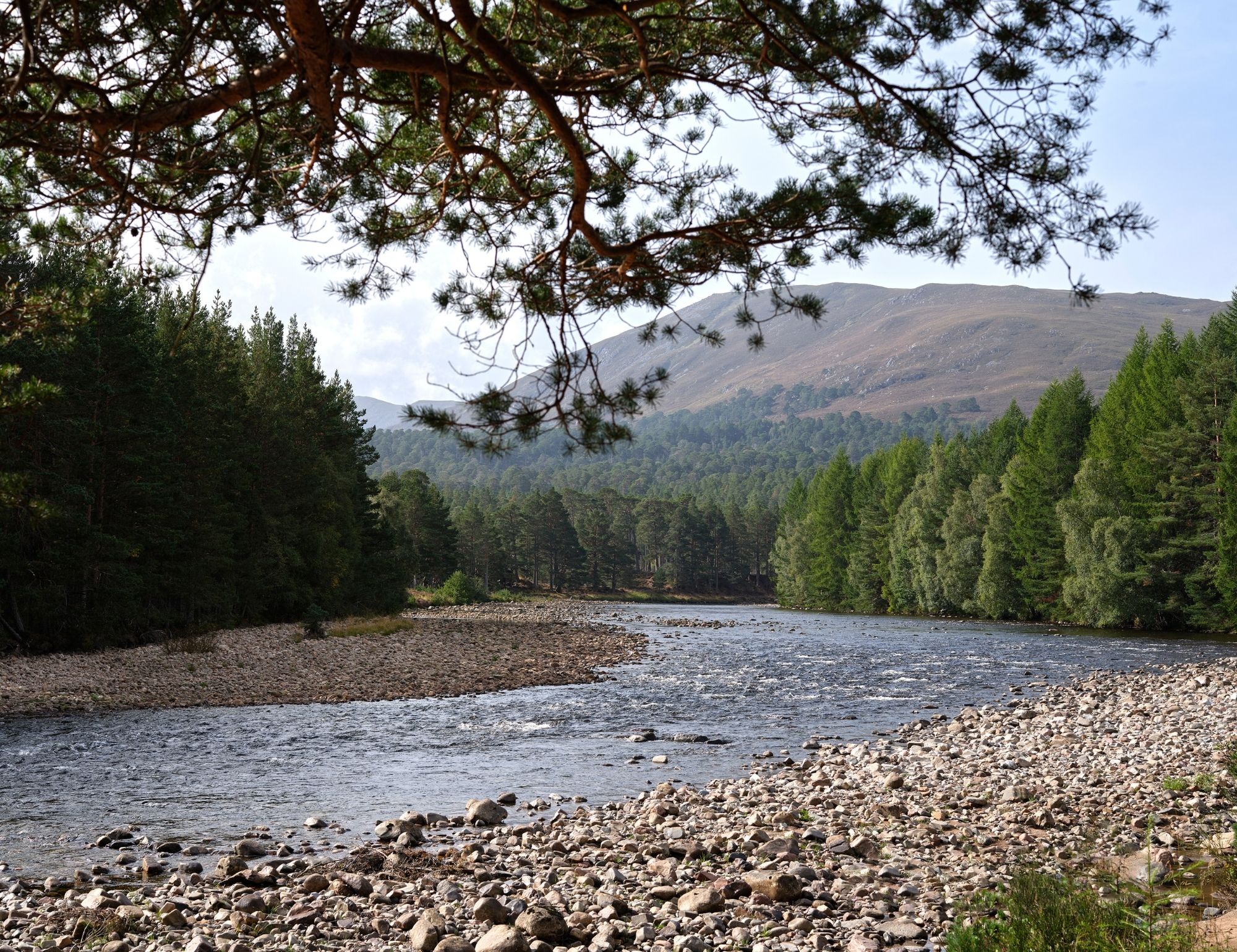 Pubs & Restaurants in Braemar | The Fife Arms, Aberdeenshire